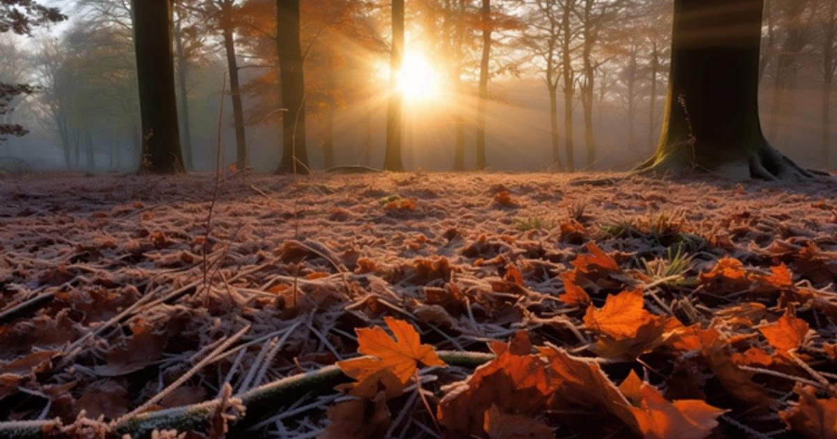 Saisons : l'automne météorologique débute ce lundi 1er septembre ...