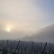 Meteo Colmar (68000) - Haut-Rhin : Prévisions Meteo GRATUITE à 15 jours ...