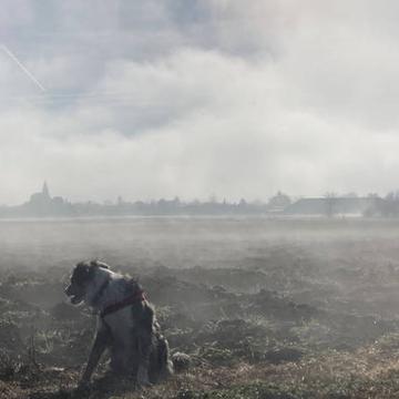 Meteo Riom (63200) - Puy-de-Dôme : Prévisions Meteo GRATUITE à 15 jours ...