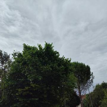 Meteo St Parres Aux Tertres