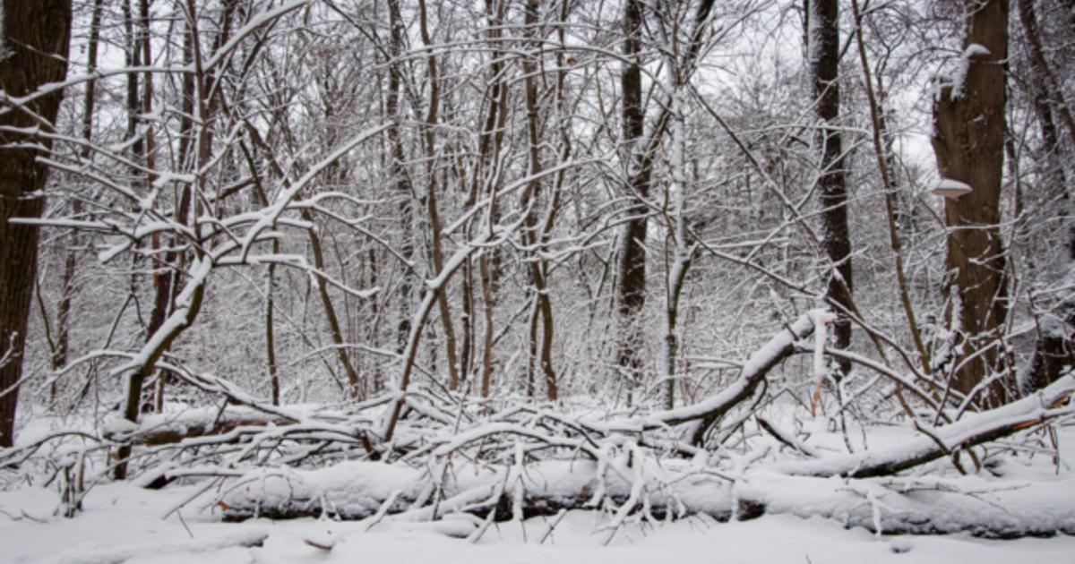 Tout savoir sur les hivers en France - Actualités La Chaîne Météo