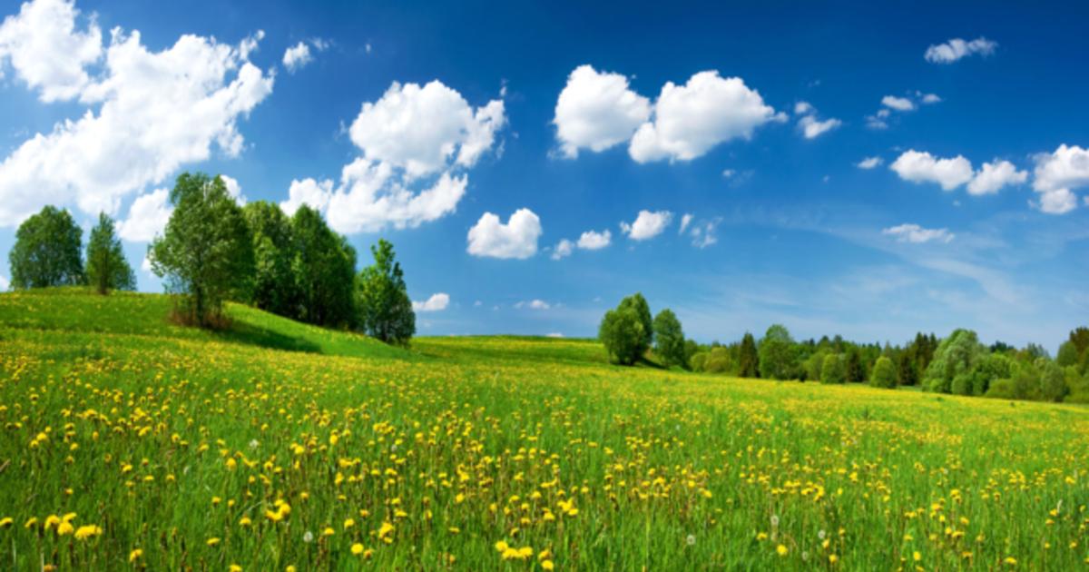 Pont du 8 mai 2025 : une météo très changeante - Actualités La Chaîne Météo