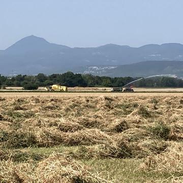 Meteo Riom (63200) - Puy-de-Dôme : Prévisions Meteo GRATUITE à 15 jours ...