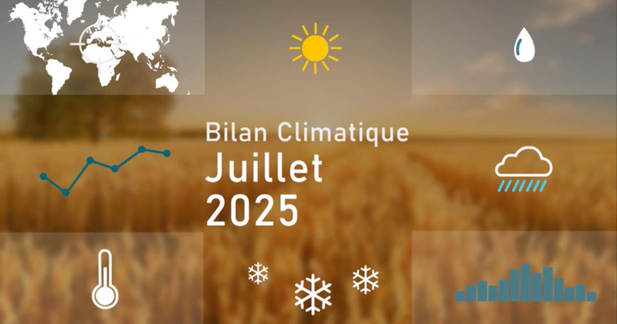 Bilan de juillet 2025 en France : de la canicule à une relative ...