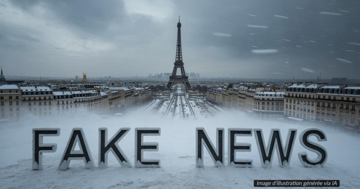 Vague de froid, neige en plaine, blizzard : attention aux fake news ...