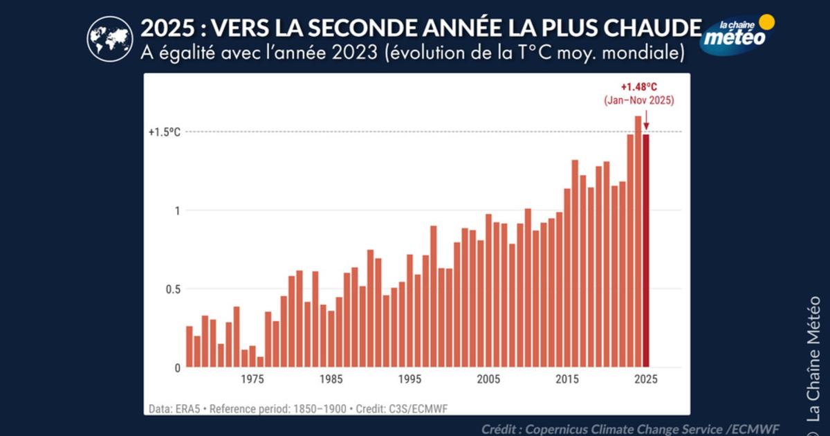 Année 2025 dans le monde : vers l'une des plus chaudes jamais ...