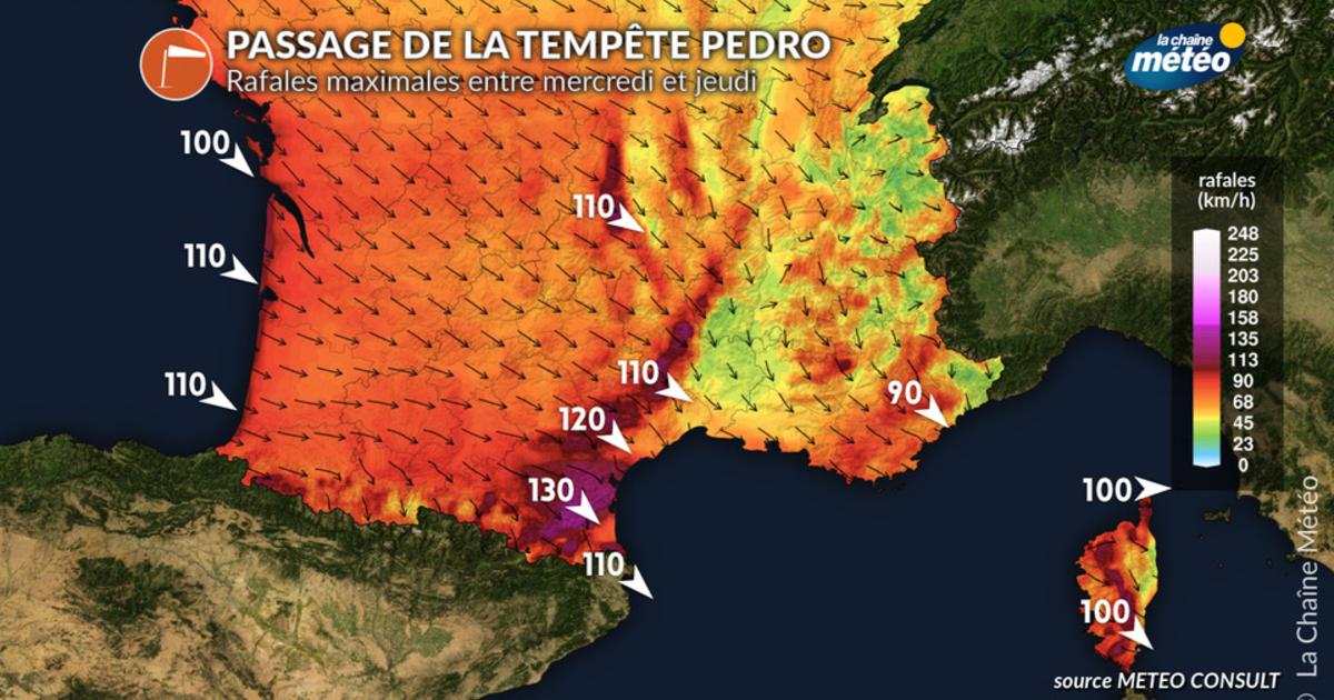 Tempête Pedro : vents violents, pluies abondantes et risque d ...
