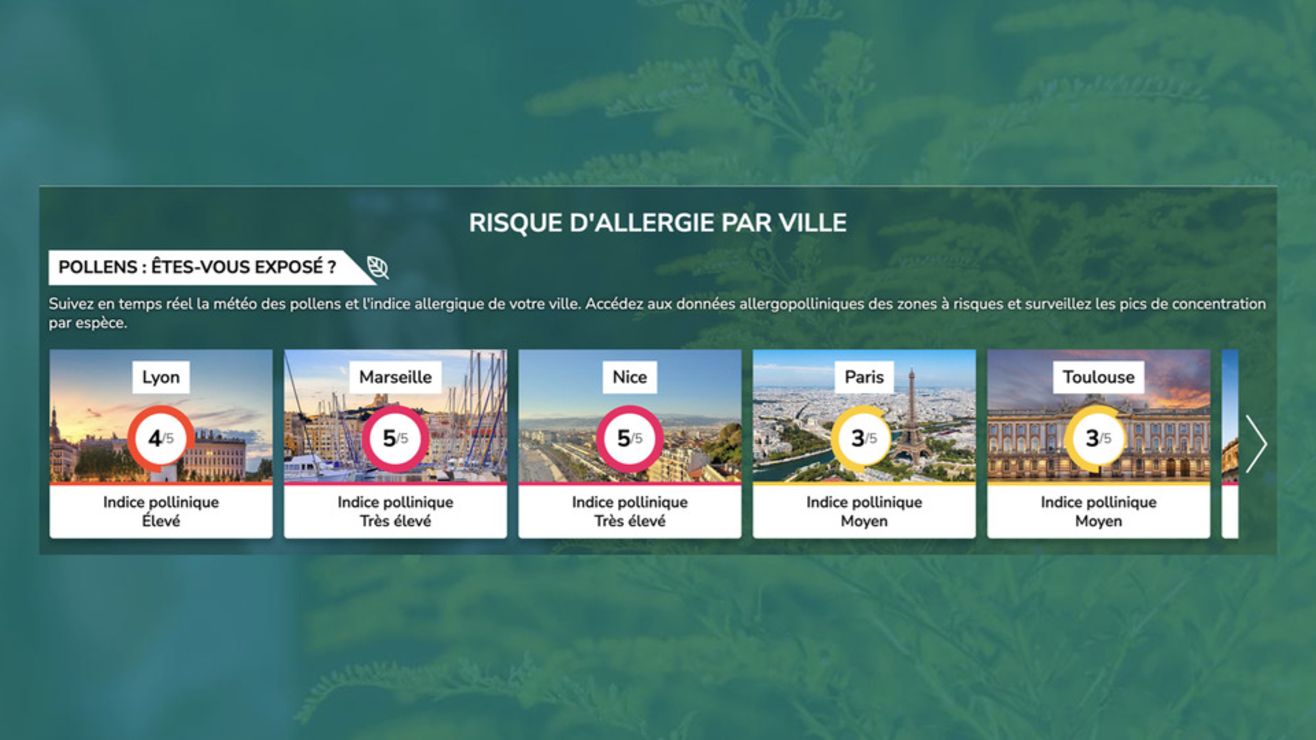 Pollen aujourd’hui en France : carte, indice pollinique par ville et ...