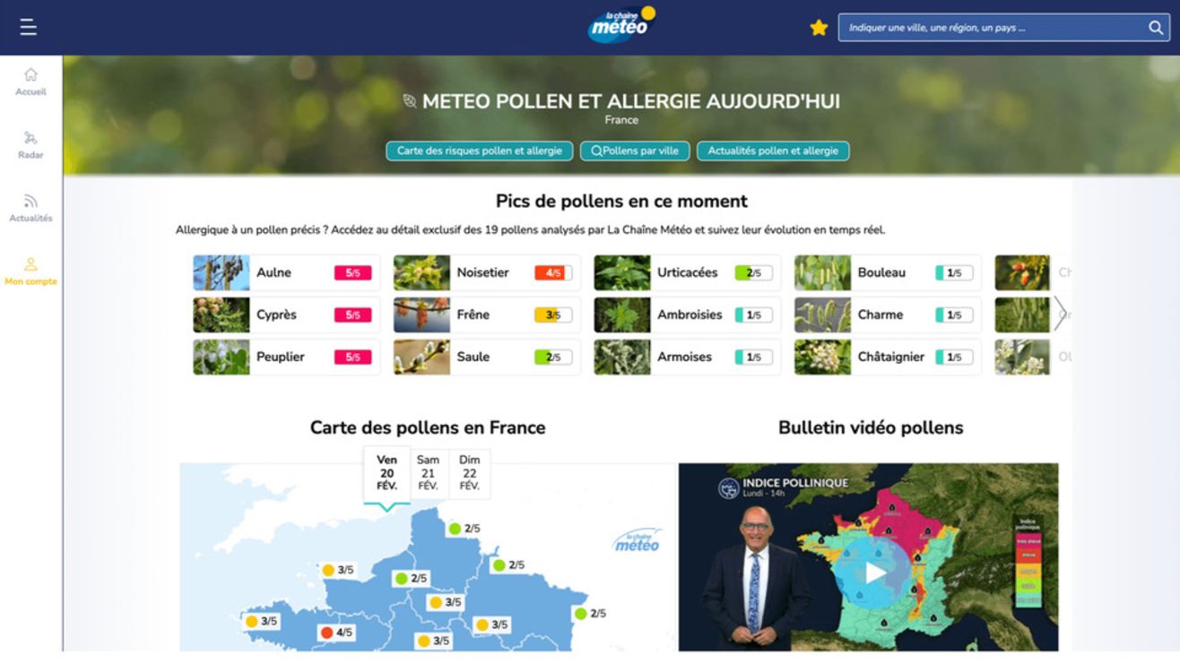 Pollen aujourd’hui en France : carte, indice pollinique par ville et ...