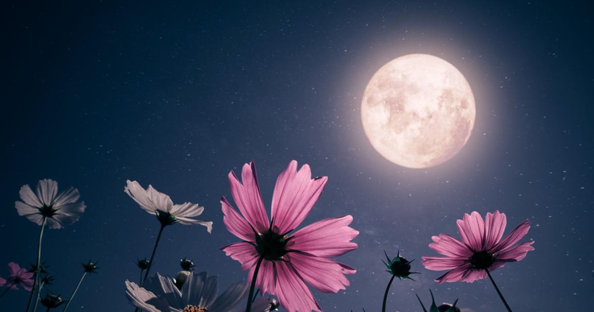 Pleine lune « rose » ce jeudi 2 avril 2026 : pourquoi ce nom et comment ...