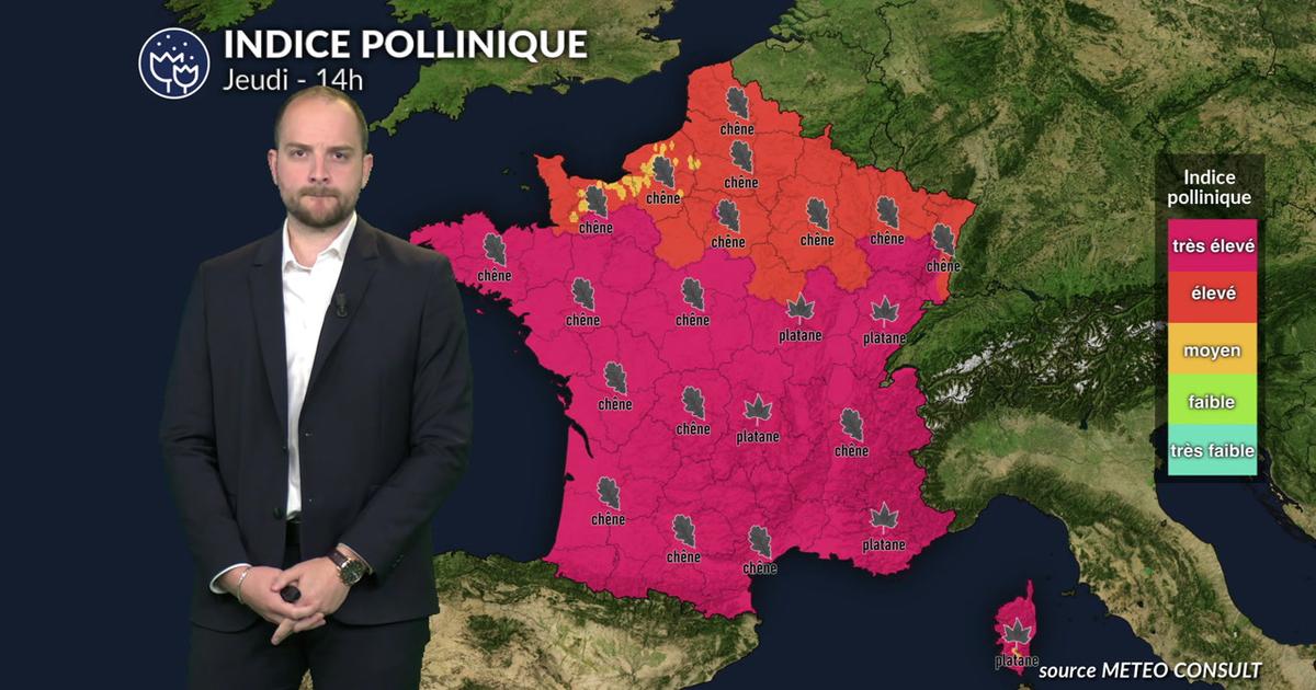 Pollens et allergies : un pic généralisé attendu demain sous un temps ...