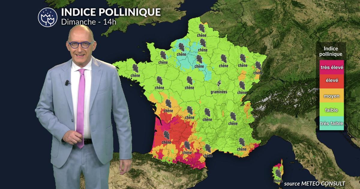 Bulletin pollen et allergies du 9 mai 2026 - Actualités La Chaîne Météo