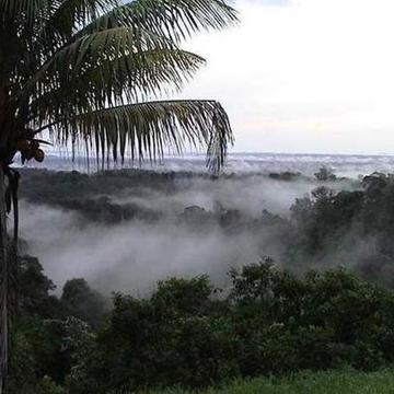 Meteo Heure par Heure Cayenne (97300) - Guyane Française : Prévisions ...