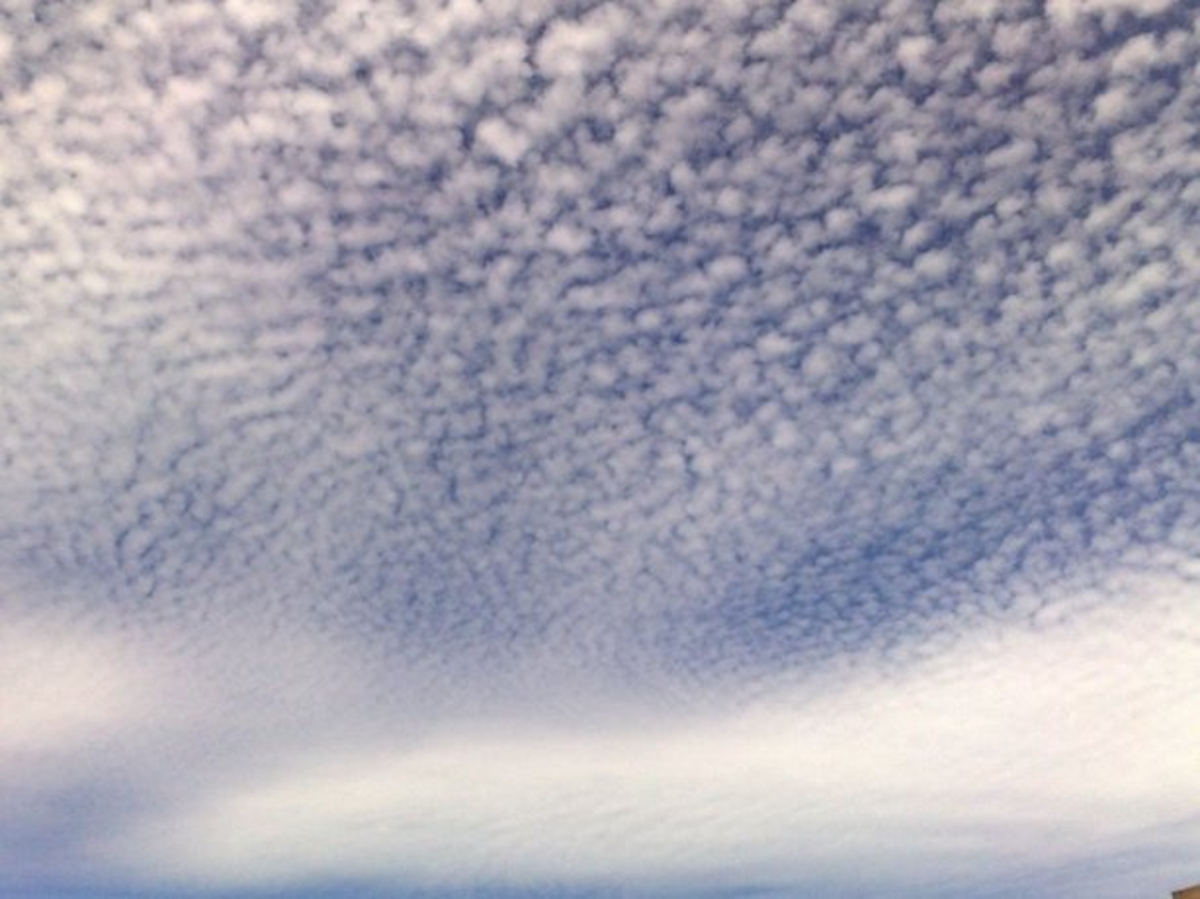 Altocumulus lacunosus, perlucidus ou flocus - Actualités La Chaîne Météo