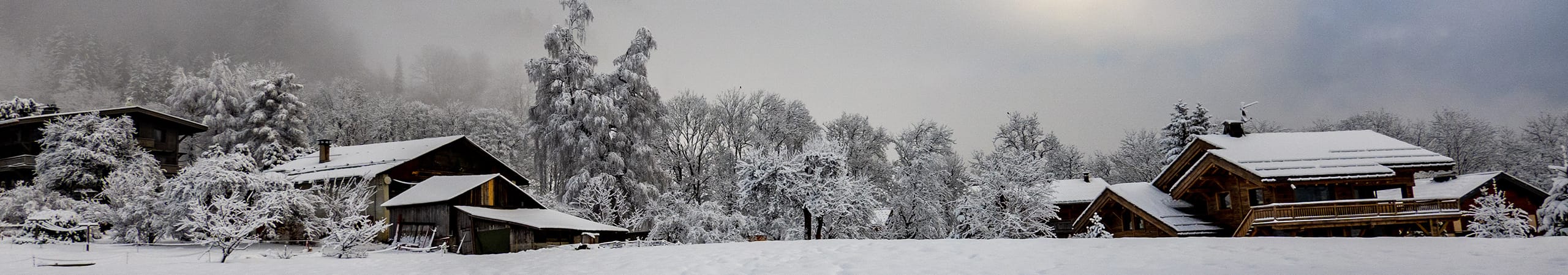 Weather Greenane (County Kerry) - Detailed bulletin - DETAILED 15-day ...