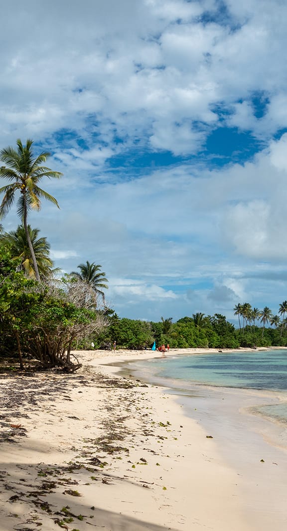 Weather Jibhi (Himachal Pradesh) - Detailed bulletin - DETAILED 15-day ...